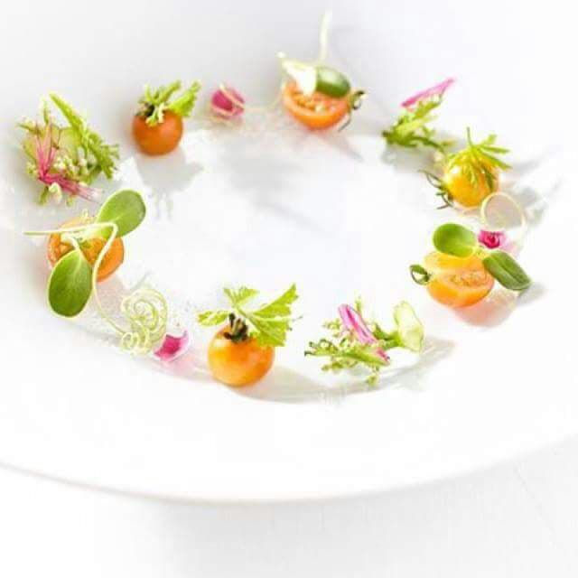 MobiChef - Professional Private Chefs to Cook at Your Home in Hong Kong